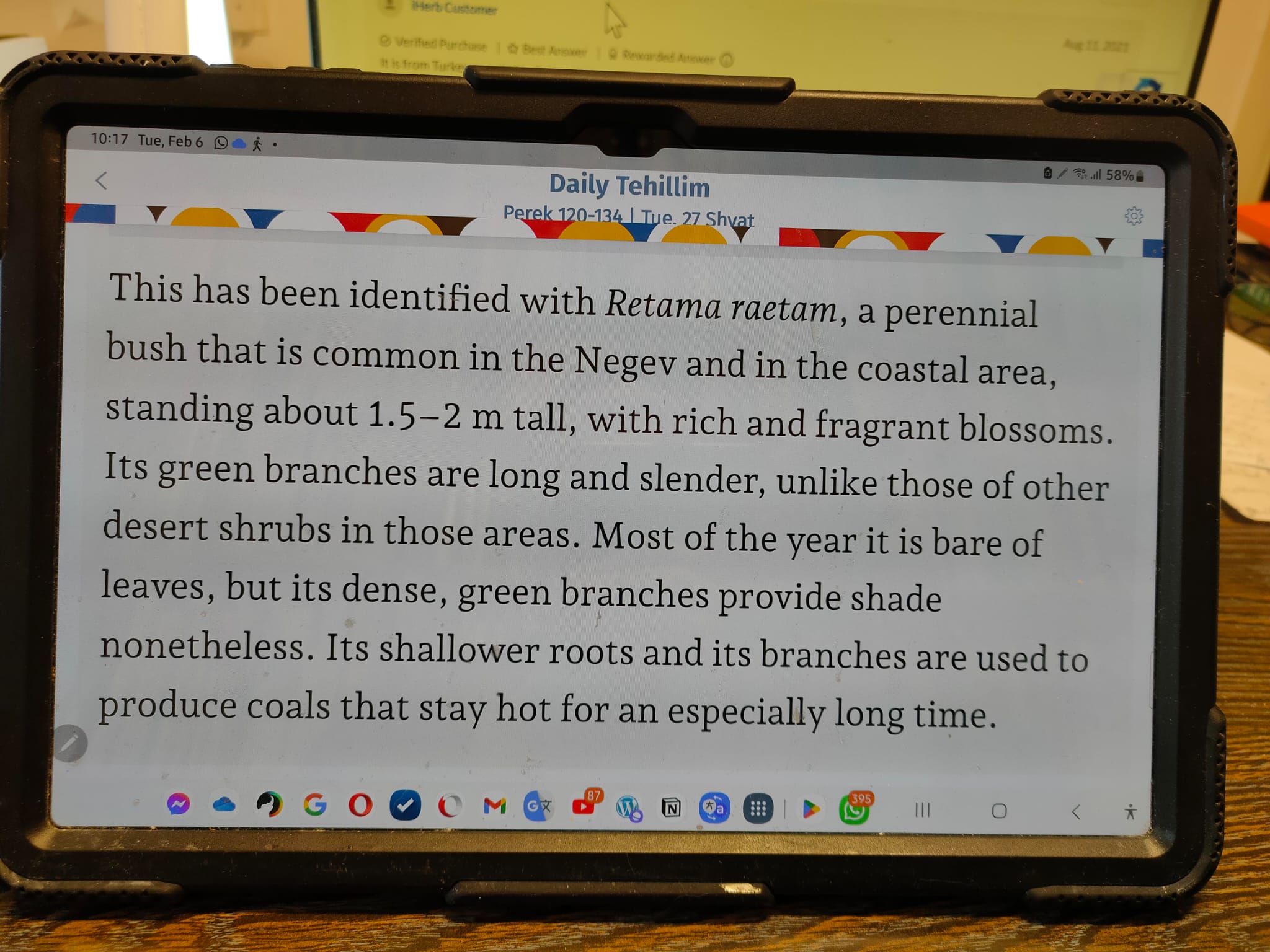 Rotem bush psalm 12O: 4—burns for a very long time [rav Steinsaltz ...